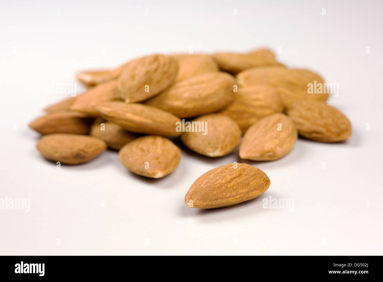 Prunus amygdalus. Seeds of the almond tree Stock Photo - Alamy