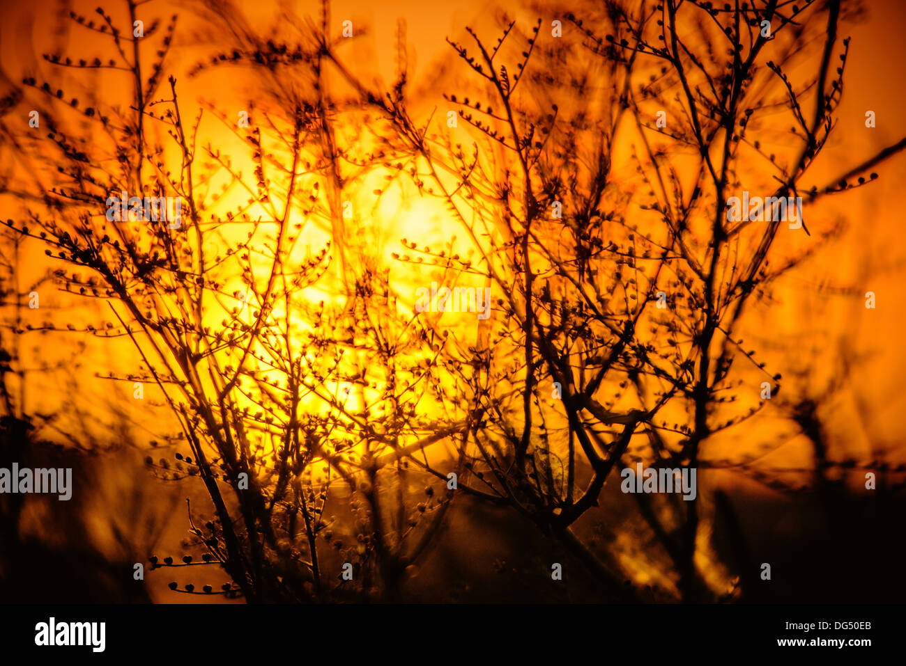 The evening sun and the sun in the evening hi-res stock photography and ...
