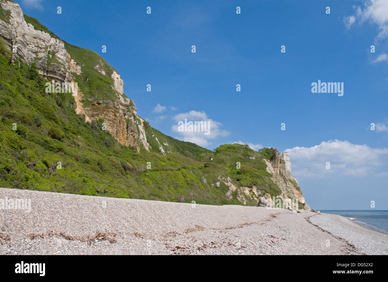 Impressive scenery on the south Devon coast at Hooken Cliffs Stock ...