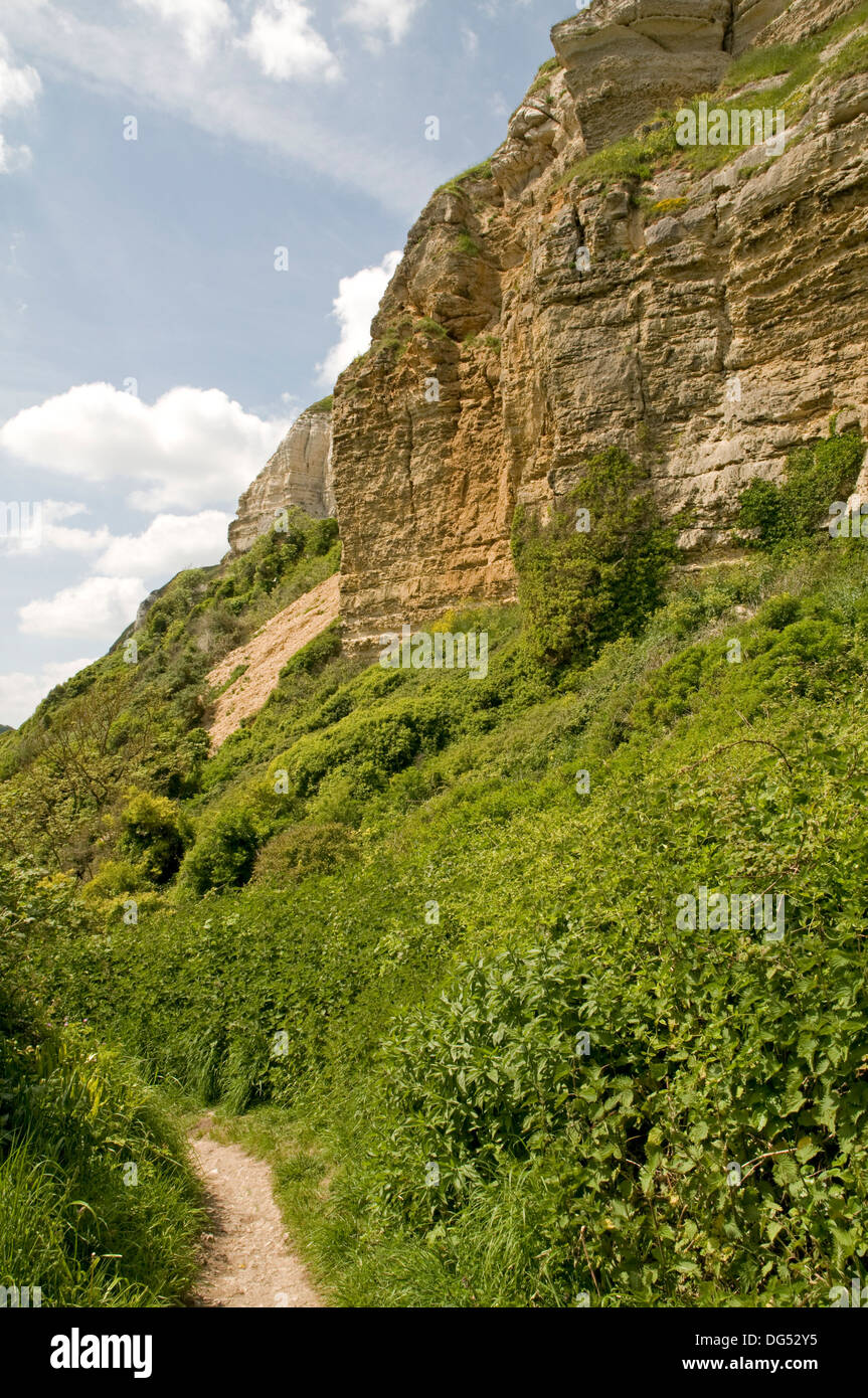 Impressive scenery on the south Devon coast at Hooken Cliffs Stock ...