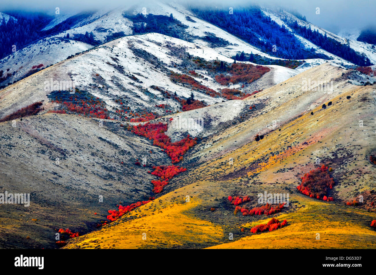 Autumn fall colors in the mountains with first blanket of snow at the ...