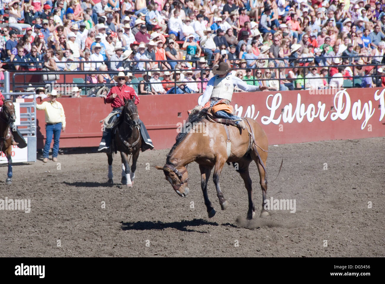 Saddle bronc riding contestant on bucking bronco horse at the ...