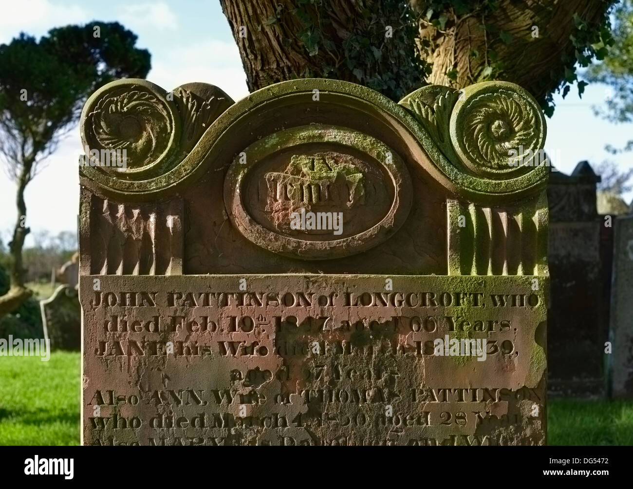 Eroded sandstone gravestone and yew tree. Church of Saint Michael ...