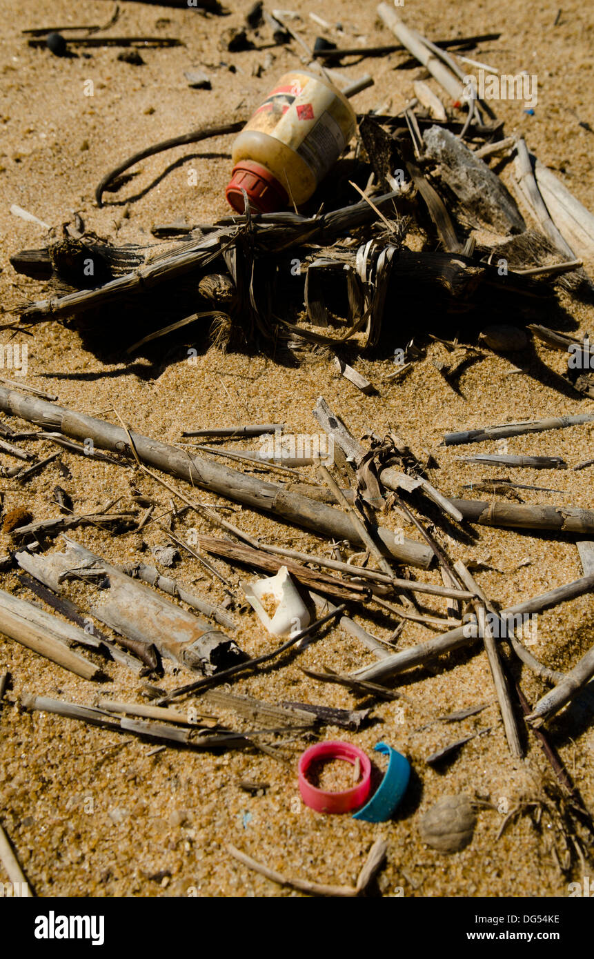 plastic Garbage pollution at the beach in Regencia, Espirito Santo ...