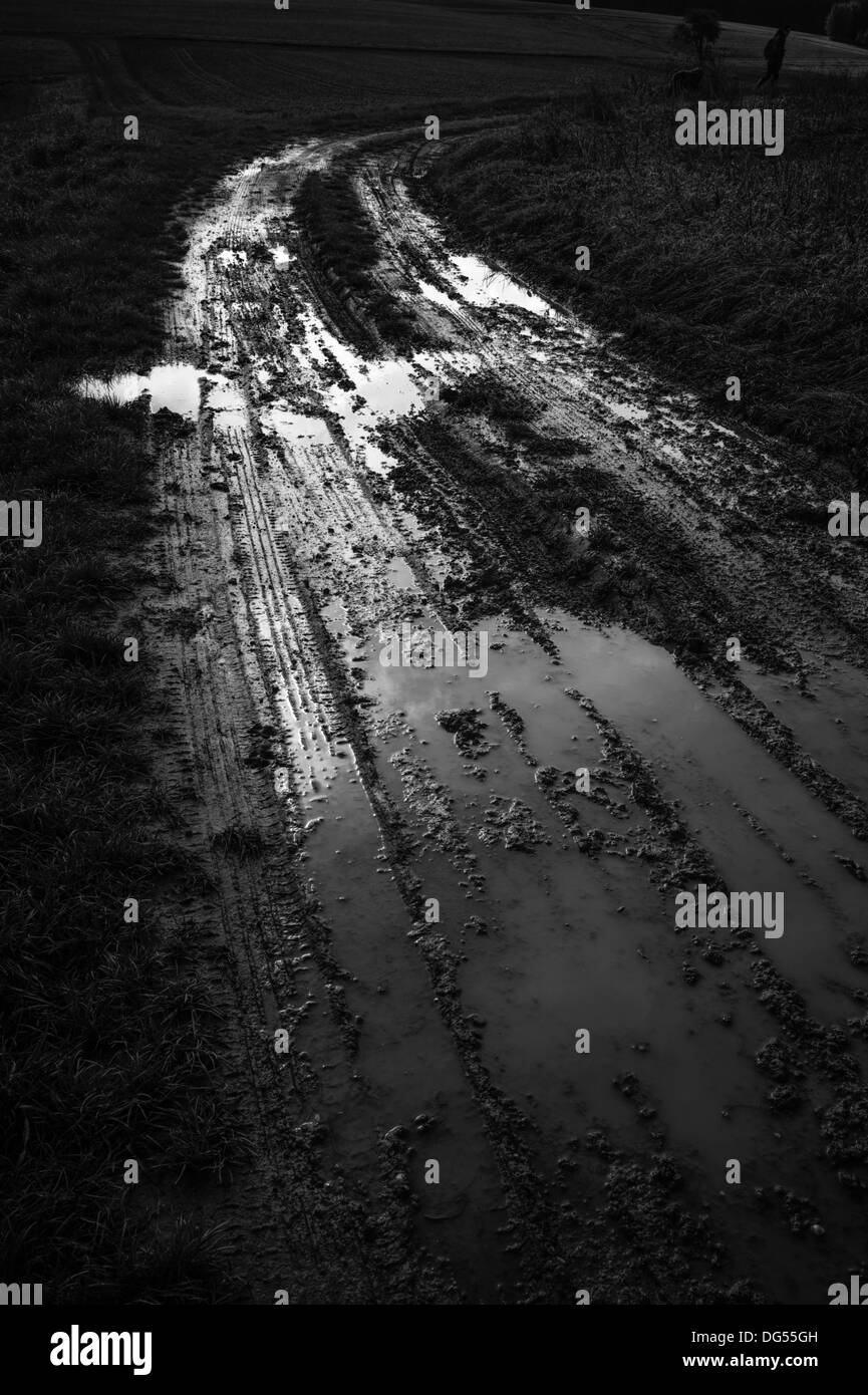 Wet dirt track Weingarten Baden-Württemberg Germany Stock Photo - Alamy