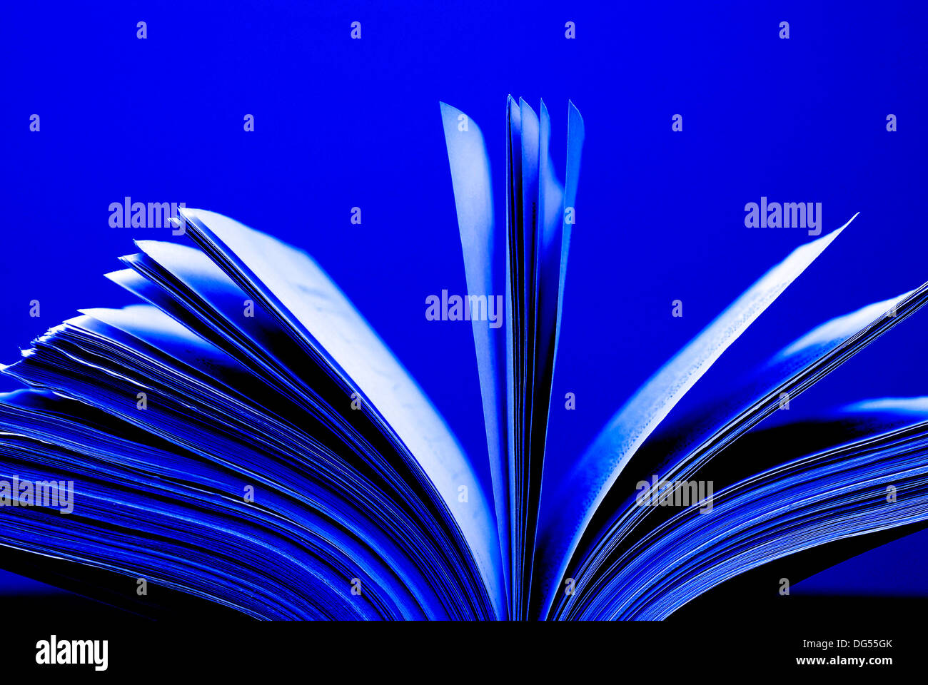 A large single book sitting with pages open on a desk and blue ...