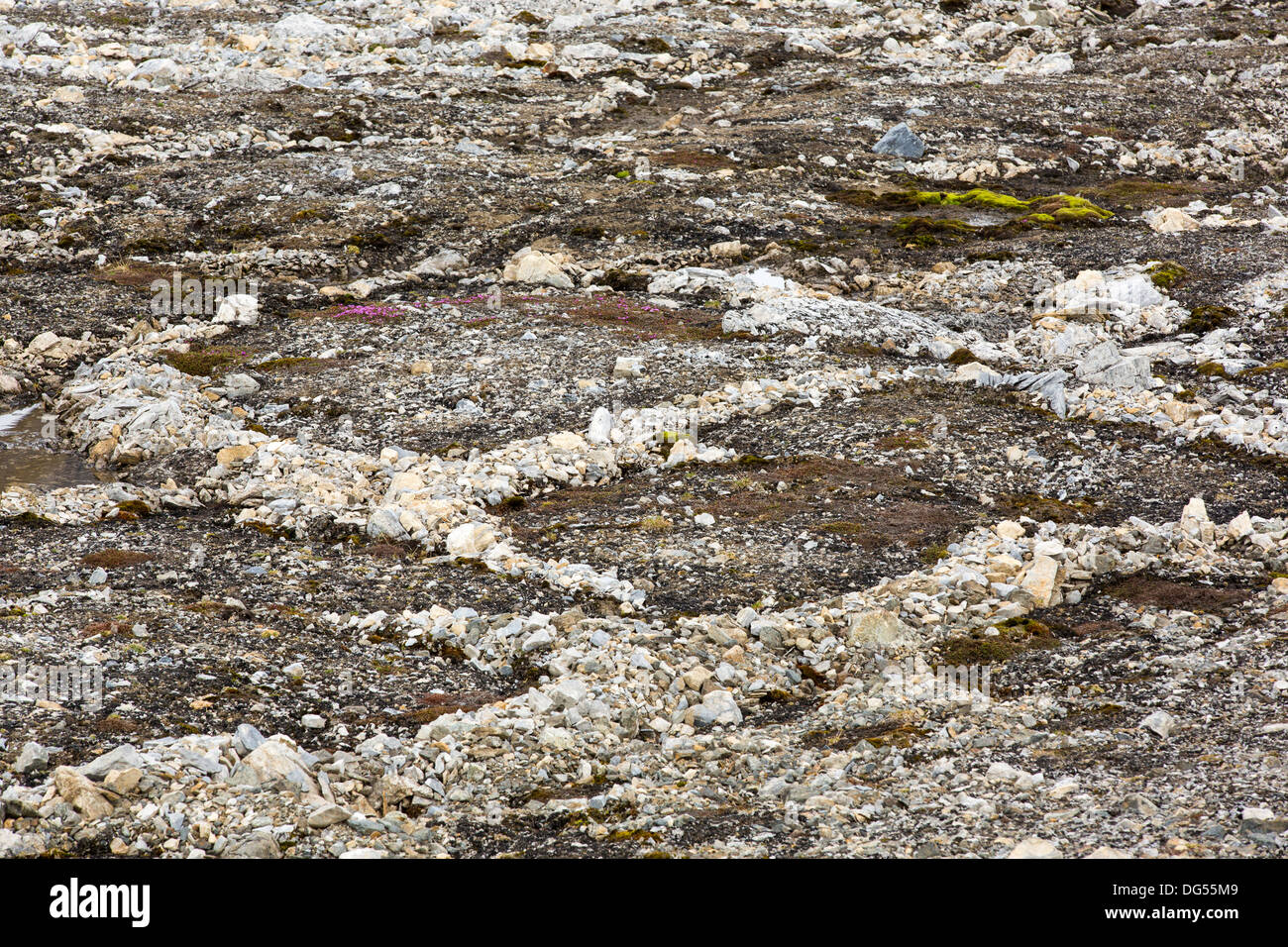 Patterned ground and stone circles formed above permafrost in the high ...