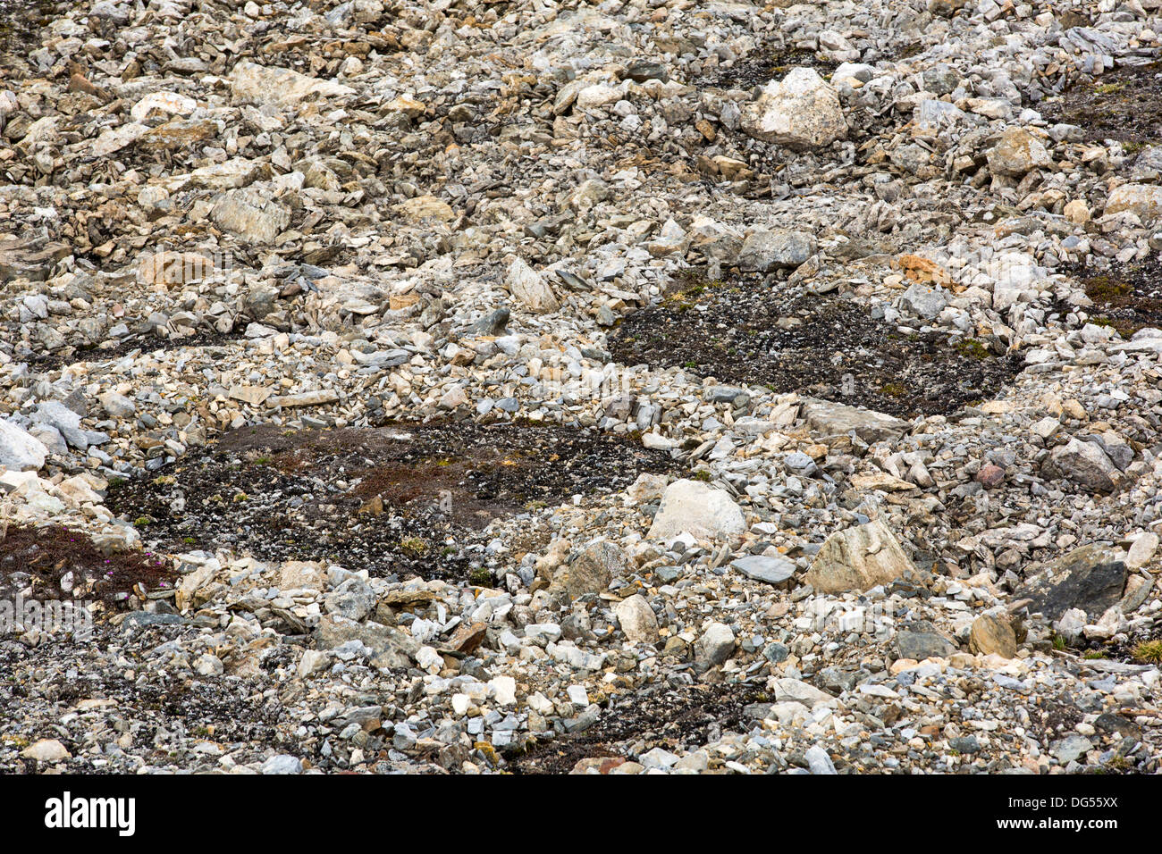 Patterned ground and stone circles formed above permafrost in the high ...