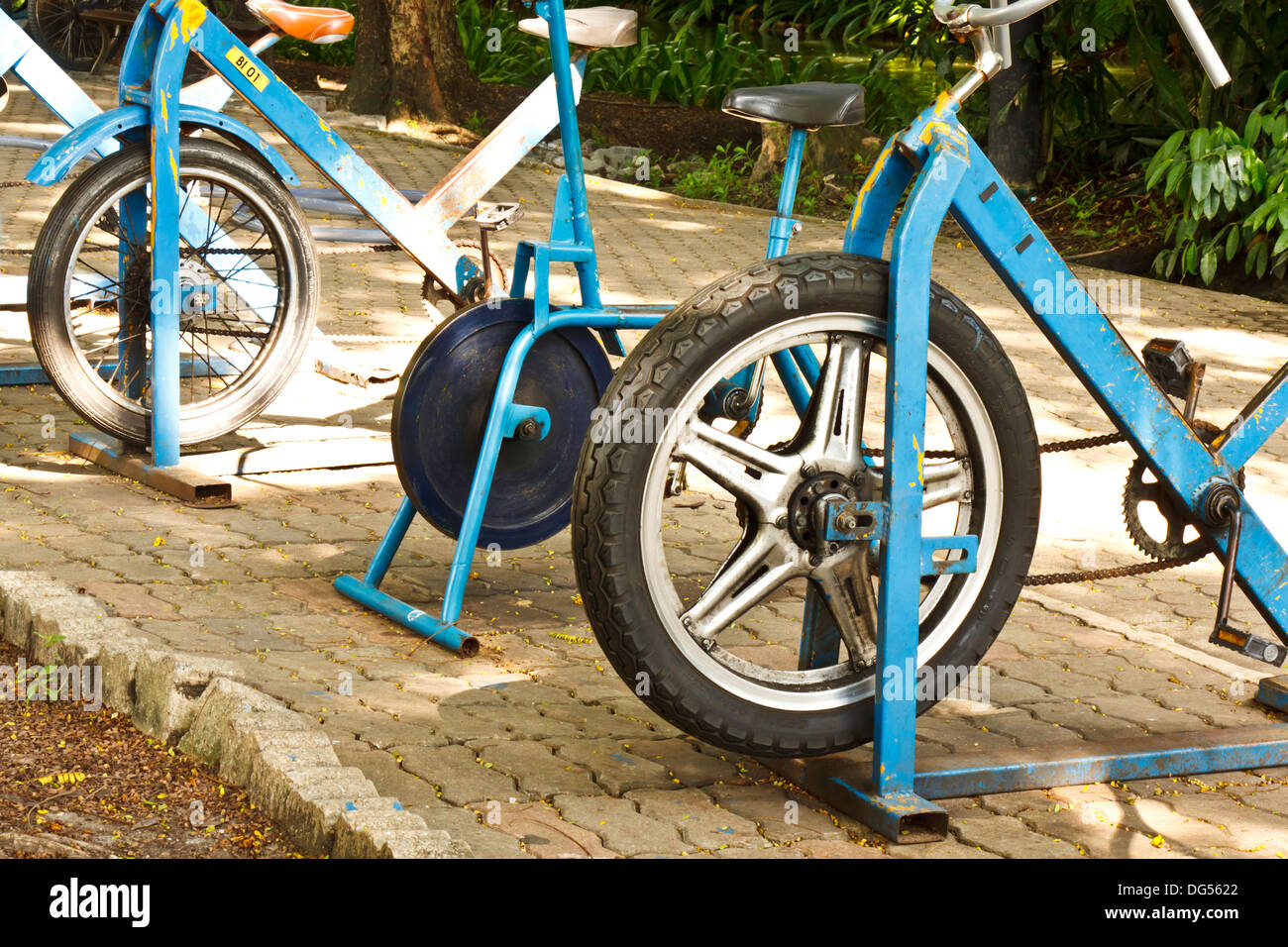 Gym wheel hi-res stock photography and images - Alamy