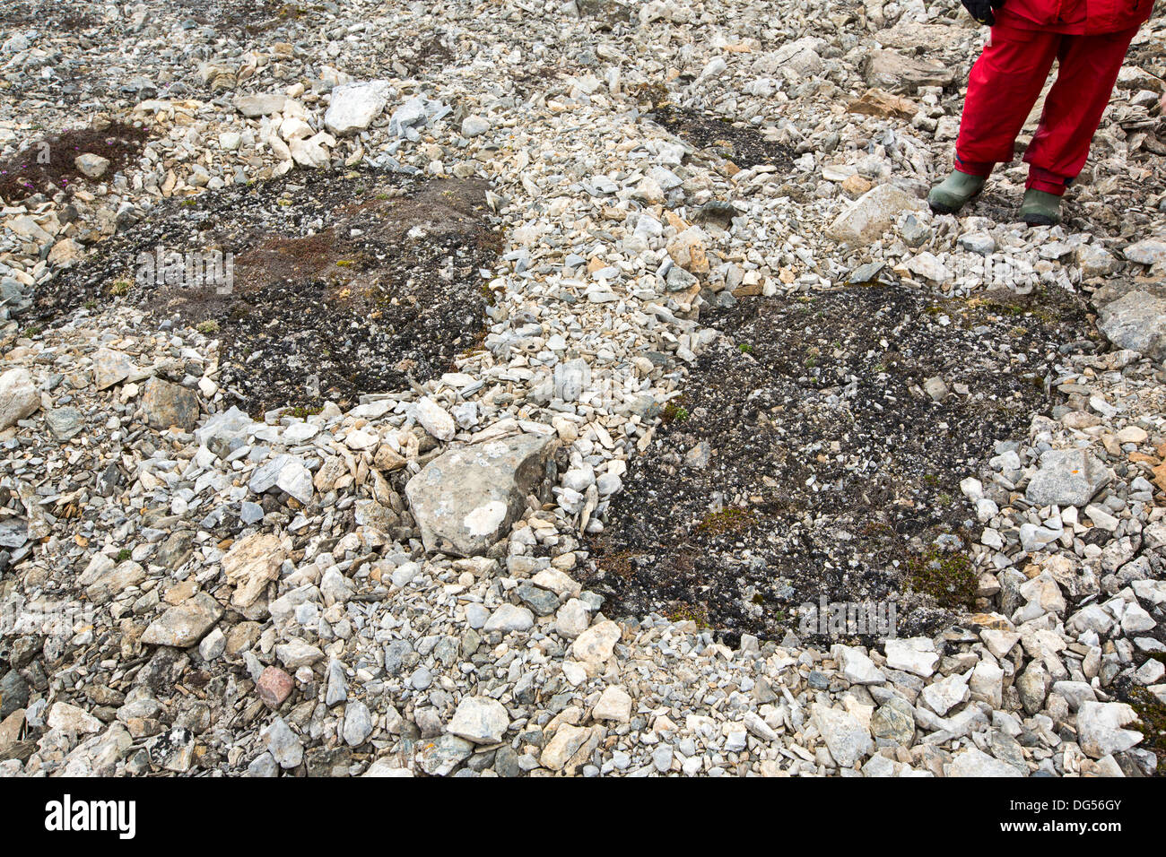 Patterned ground and stone circles formed above permafrost in the high ...