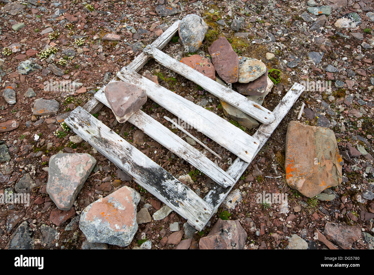 An Arctic fox trap at Texas Bar in Liefdefjorden on northern ...