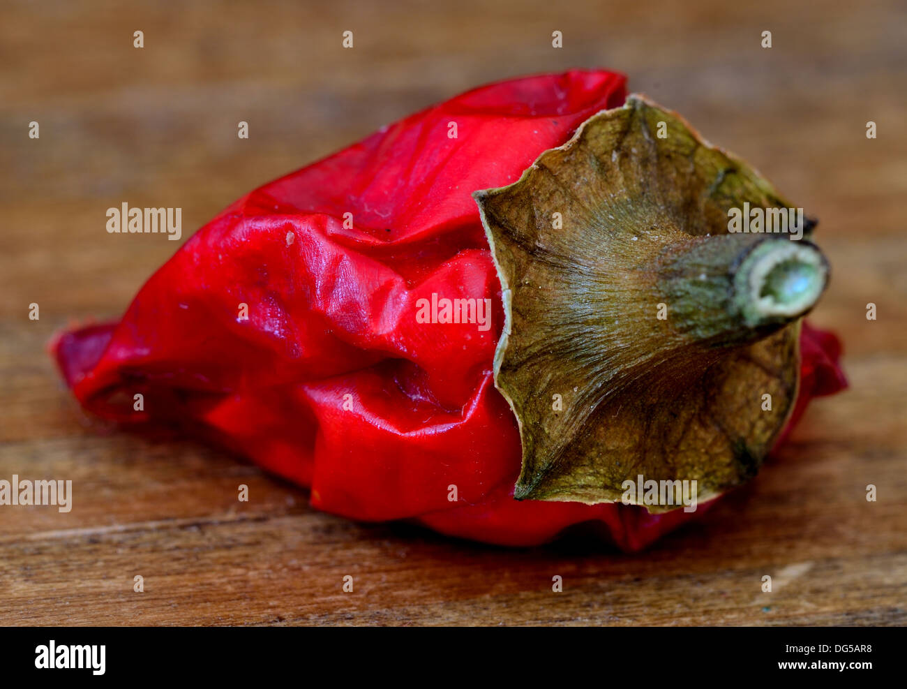 Dried chilli hi-res stock photography and images - Alamy