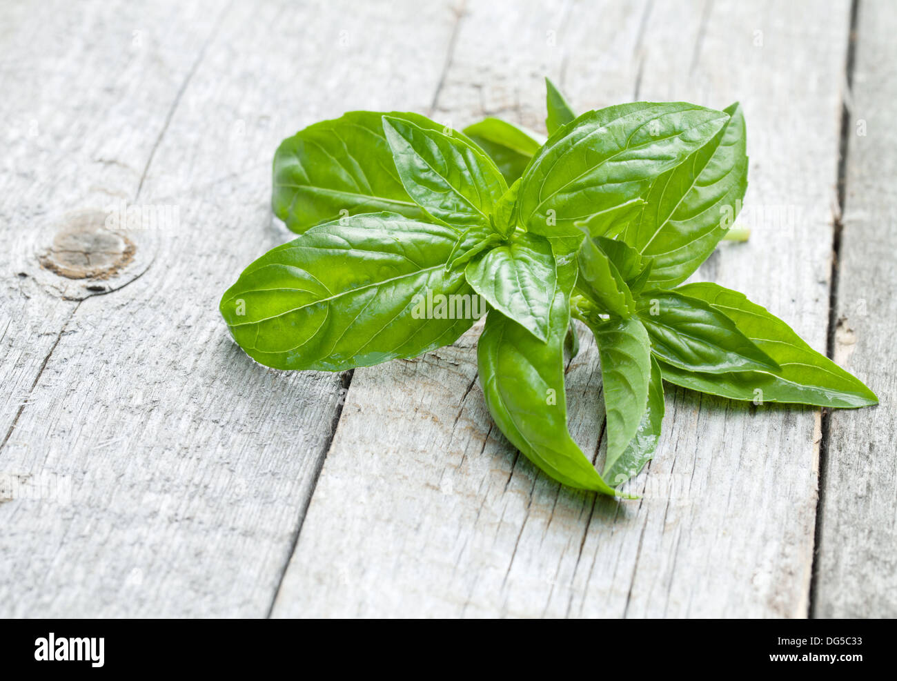 Fresh basil leaves on garden wood table Stock Photo - Alamy
