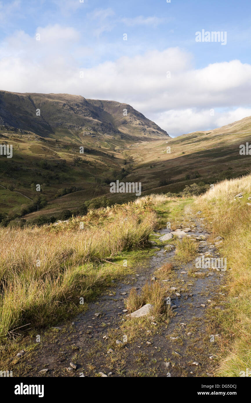 Red Screes Stock Photos & Red Screes Stock Images - Alamy