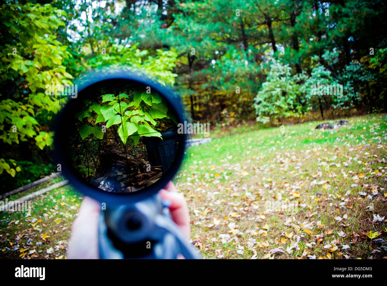 Sniper hi-res stock photography and images - Alamy