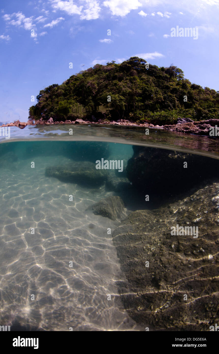 Half underwater hi-res stock photography and images - Alamy