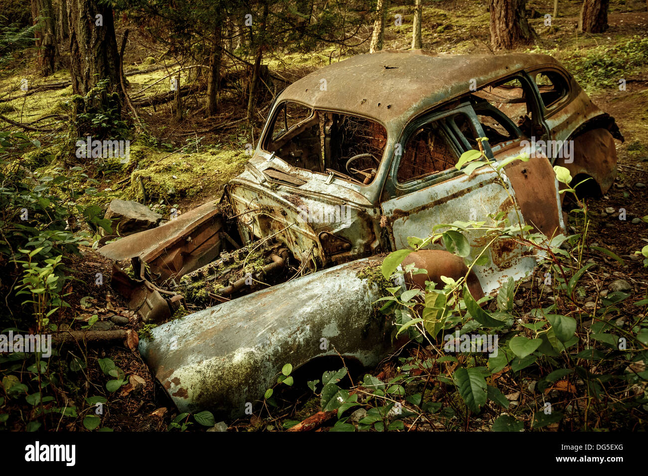 Vintage Car Wreck in forest, Stuart Island, San Juan Islands, Washington, USA Stock Photo - Alamy