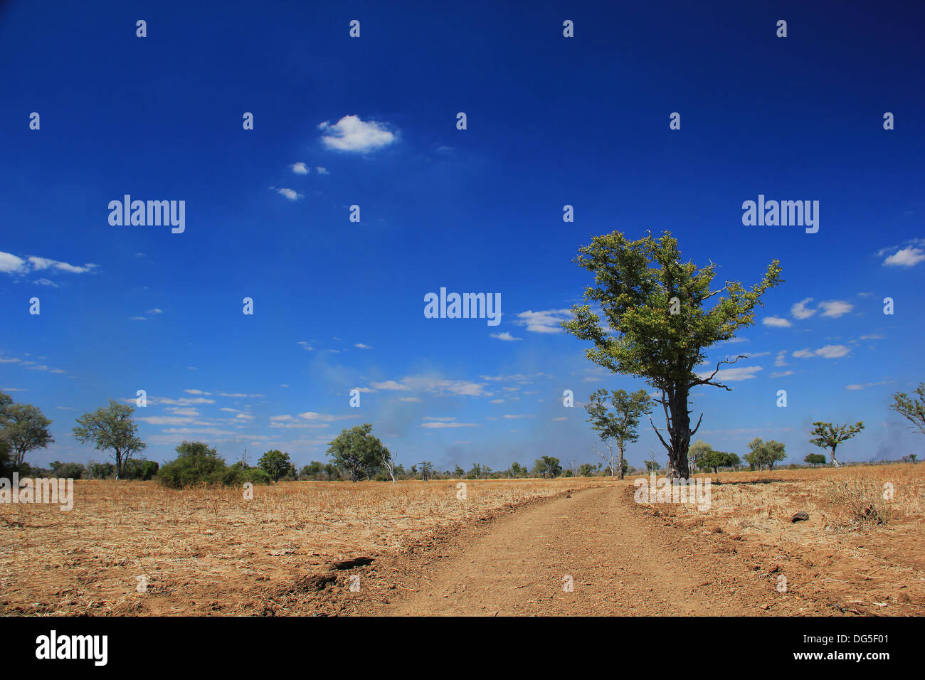 Zambia landscape hi-res stock photography and images - Alamy