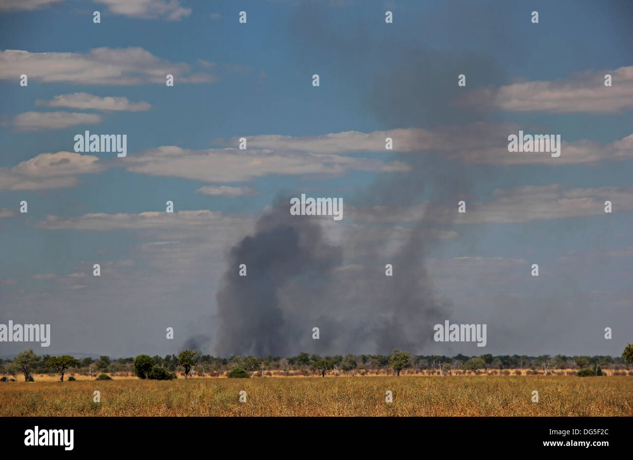 Bush Fire in Zambia Stock Photo - Alamy