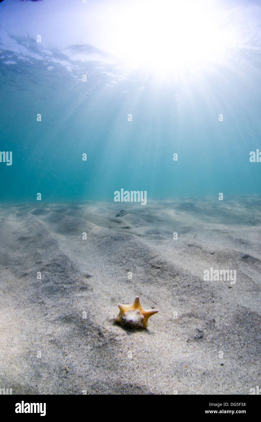 Sun light on waters hi-res stock photography and images - Alamy