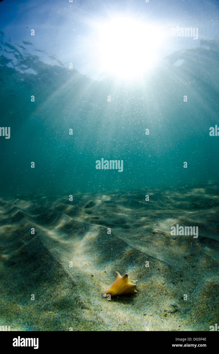 Sun light on waters hi-res stock photography and images - Alamy