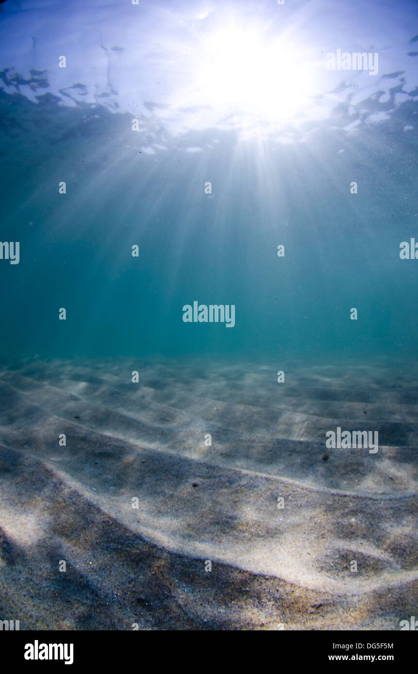 Sand underwater hi-res stock photography and images - Alamy