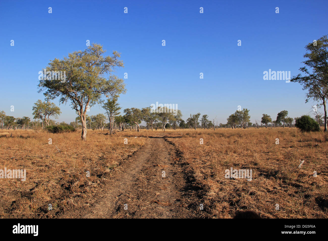 Zambia landscape hi-res stock photography and images - Alamy