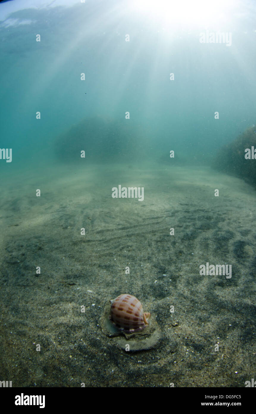 Sun light on waters hi-res stock photography and images - Alamy