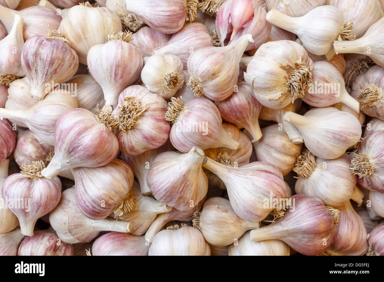 White garlic hi-res stock photography and images - Alamy