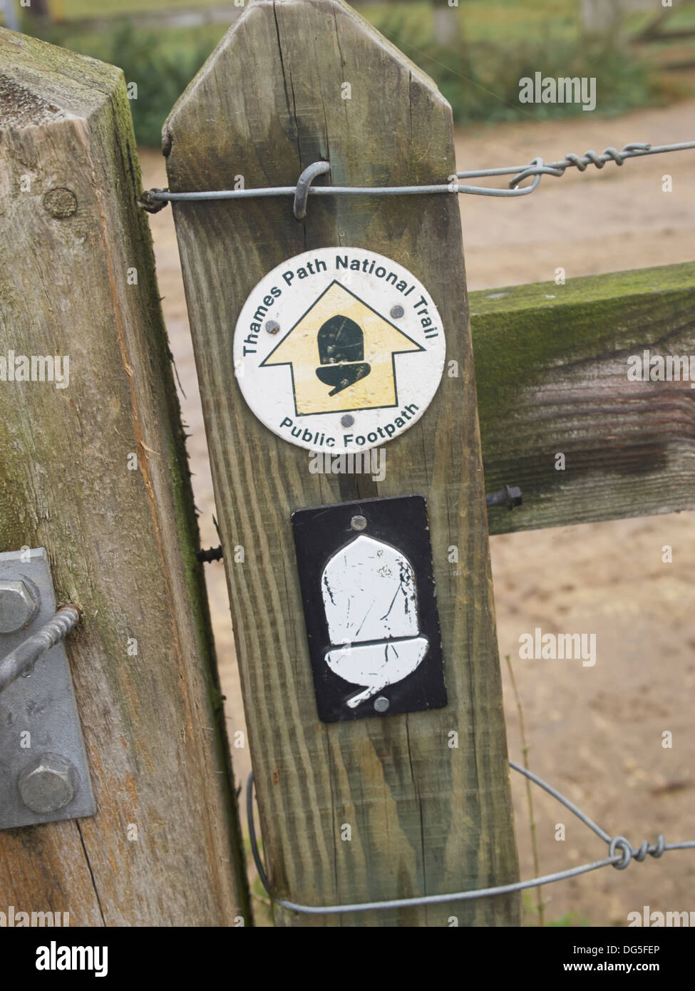 Thames Path marker on a gate, Ewen, England Stock Photo - Alamy