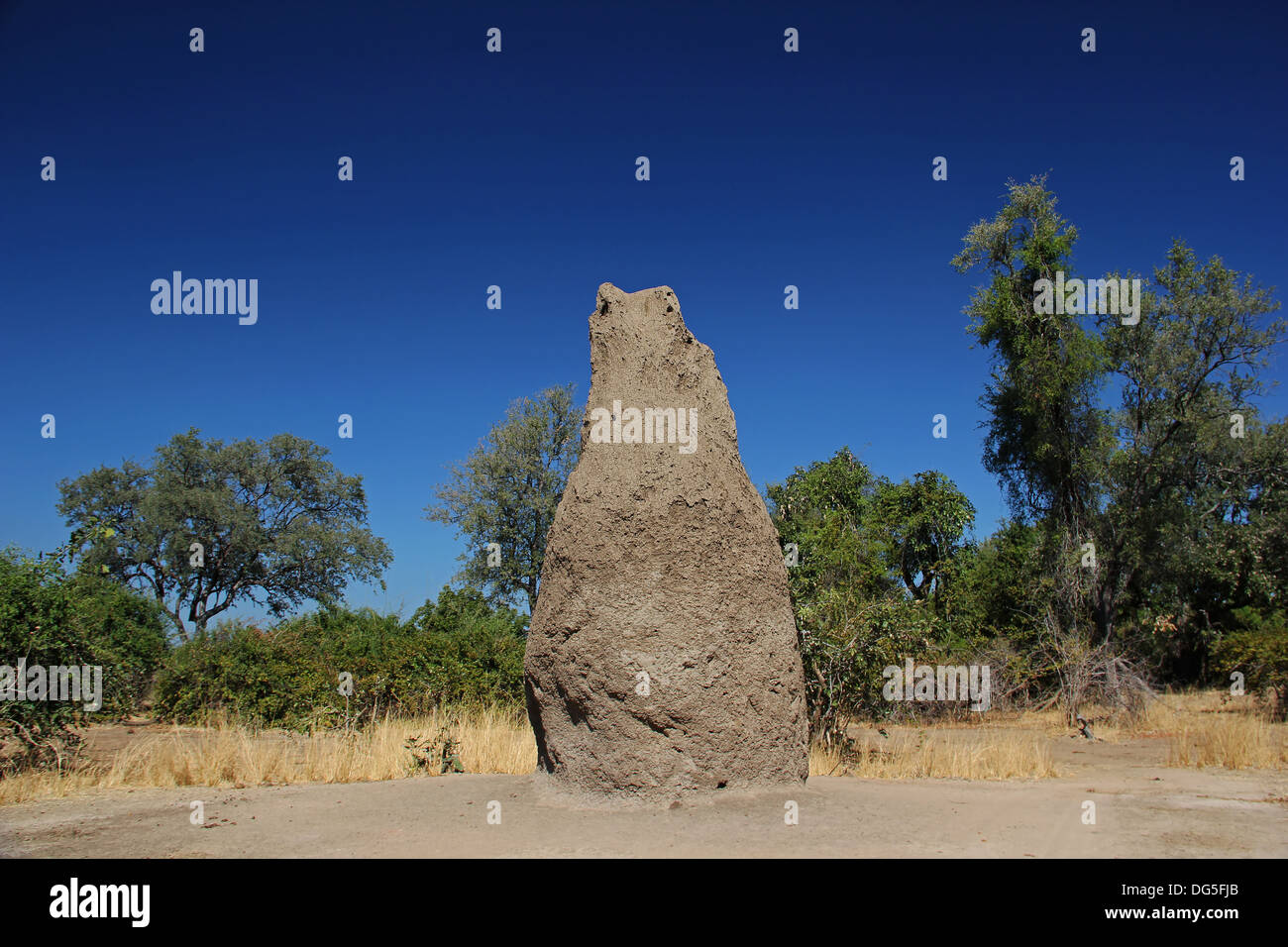 Termite hill hi-res stock photography and images - Alamy