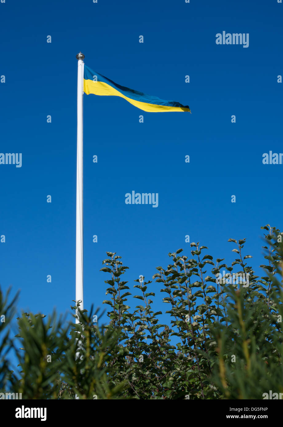 Swedish pennon flying on blue sky and greenery Stock Photo - Alamy