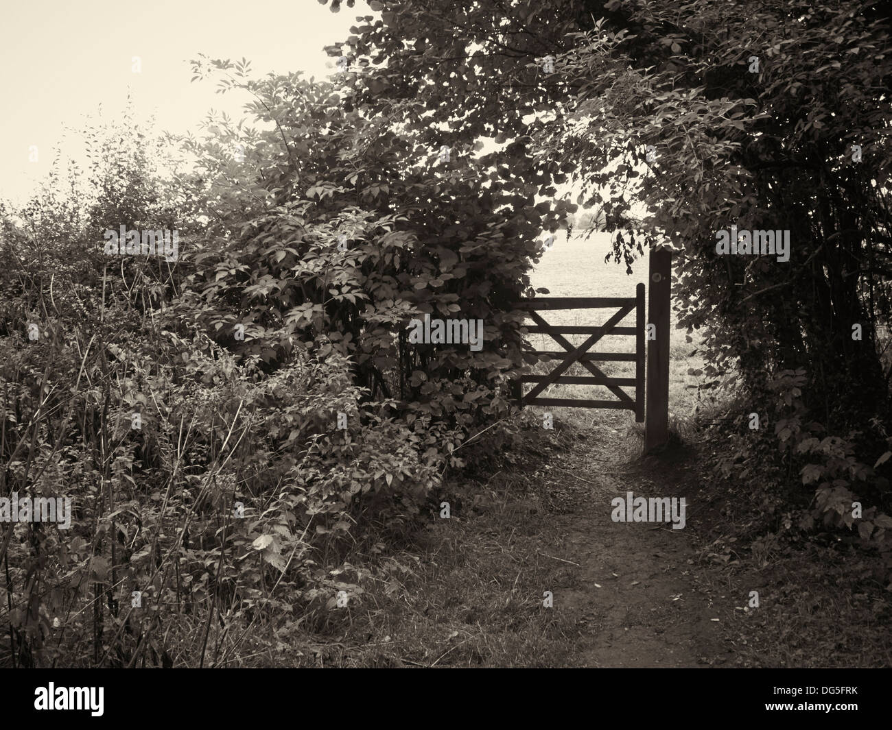 Thames Path near Ewen, England Stock Photo - Alamy