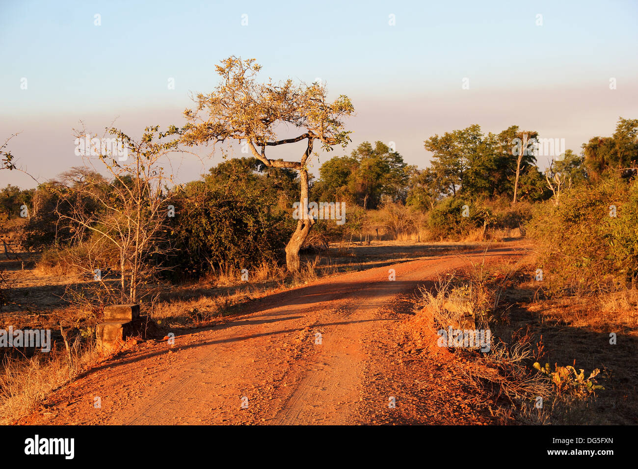 Zambia hi-res stock photography and images - Alamy