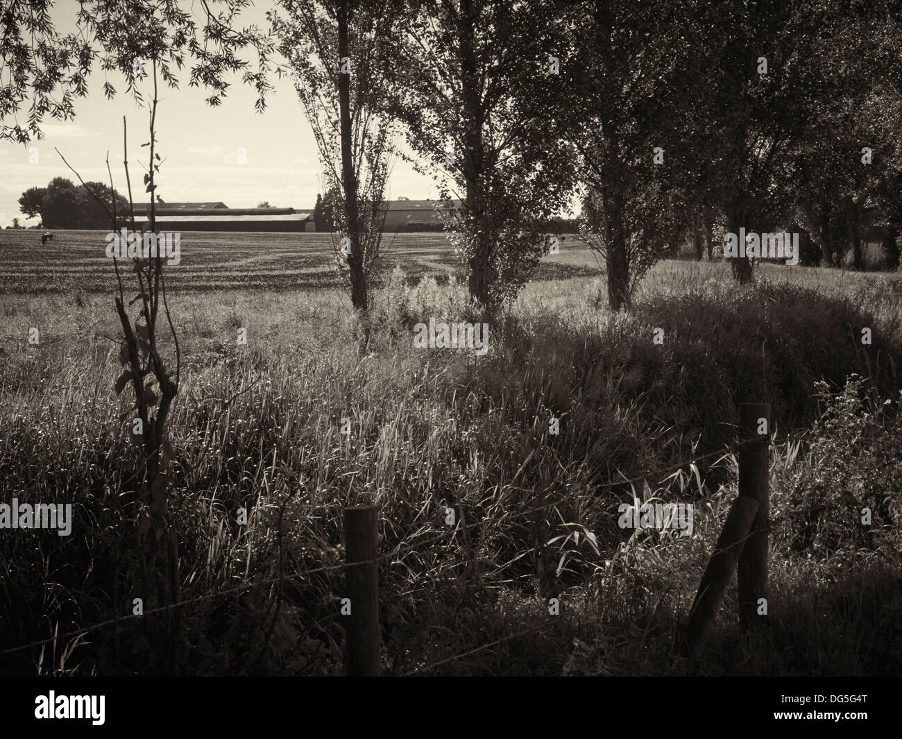 Farm and forest near Ewen England Stock Photo - Alamy