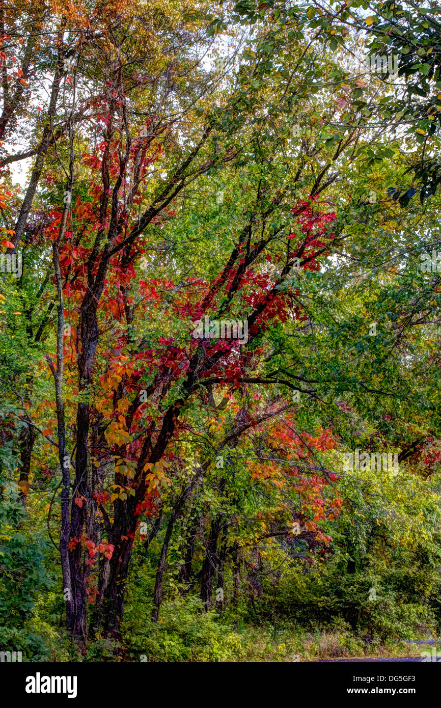 Midwest seasons hi-res stock photography and images - Alamy