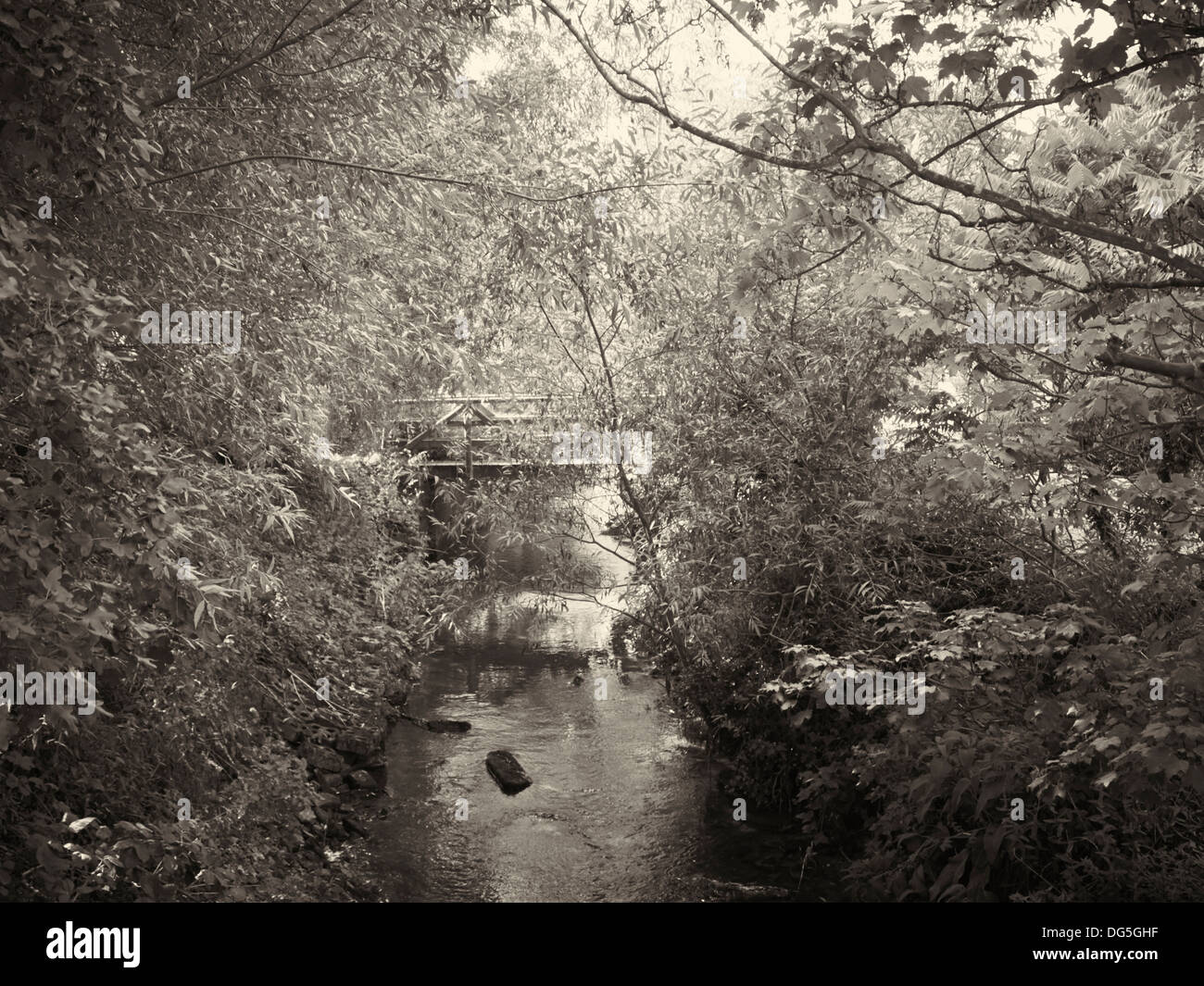 Uk river source thames hi-res stock photography and images - Alamy