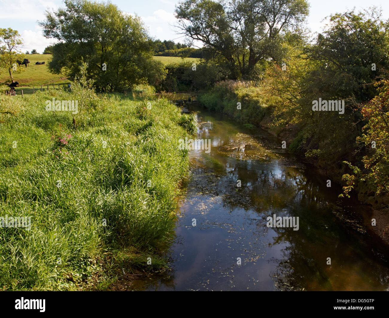 Cricklade Thames High Resolution Stock Photography and Images - Alamy