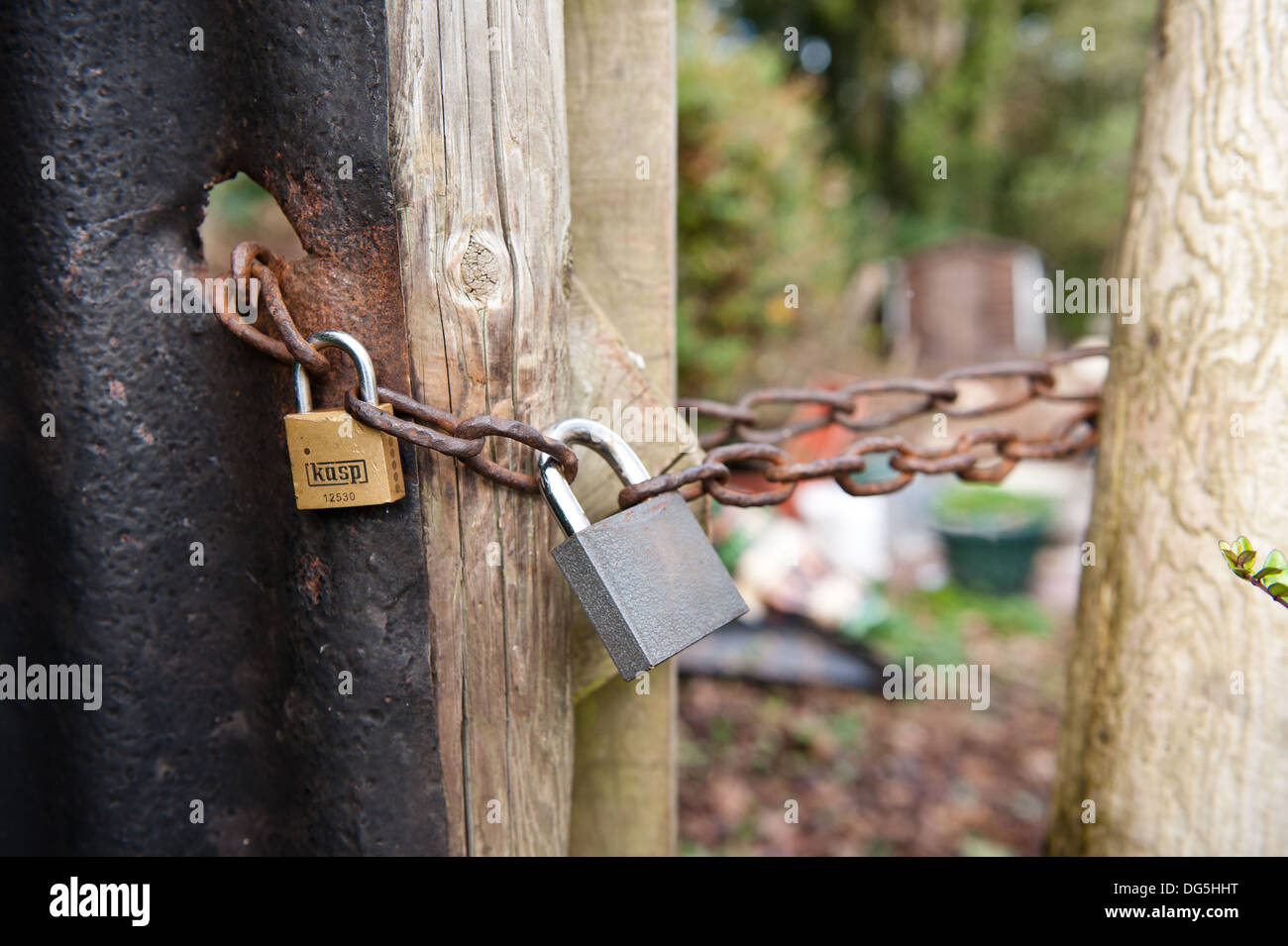 Lock and Chain on a garden gate Stock Photo - Alamy