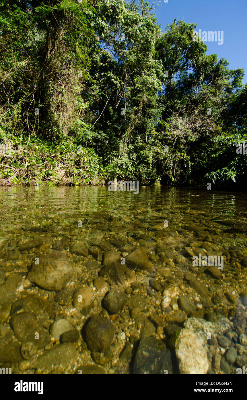 Shallow river hi-res stock photography and images - Alamy