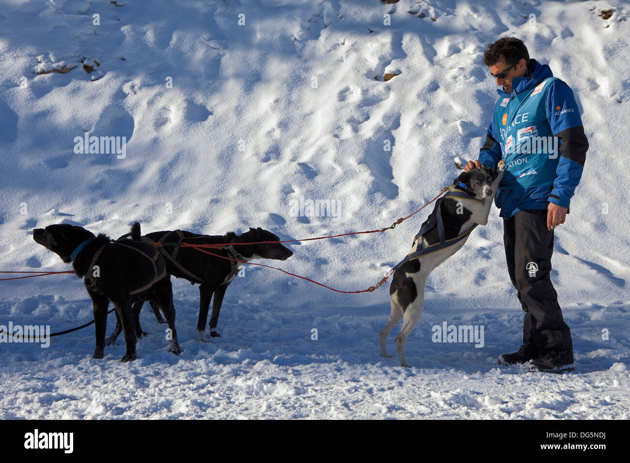 Pirena. Sled dog race in the Pyrenees going through Spain, Andorra and ...