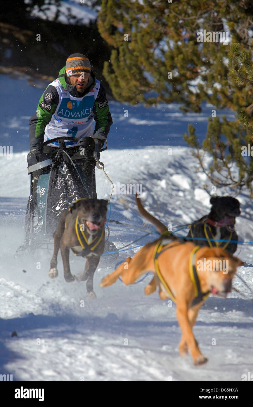 Pirena. Sled dog race in the Pyrenees going through Spain, Andorra and ...