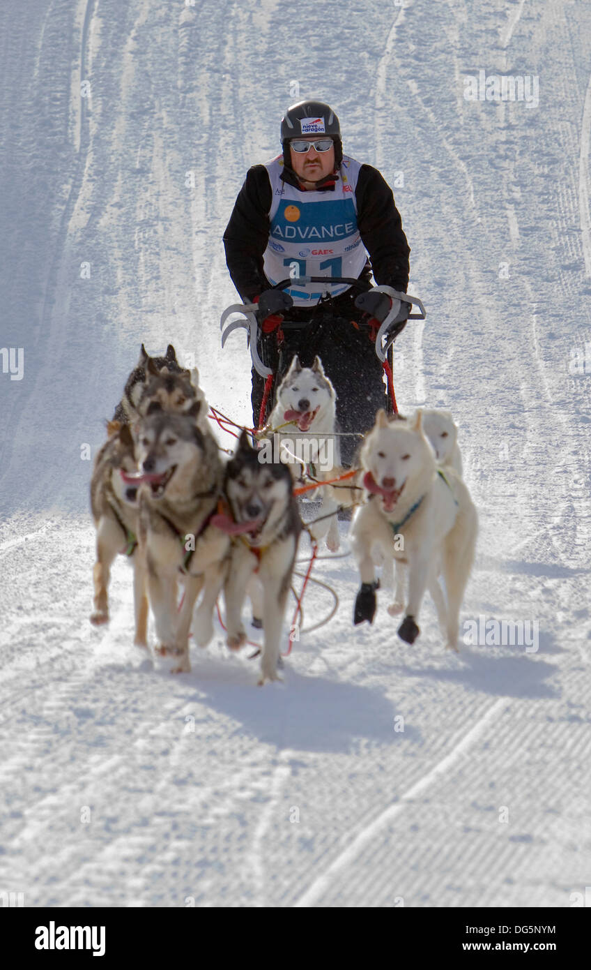 Pirena. Sled dog race in the Pyrenees going through Spain, Andorra and ...