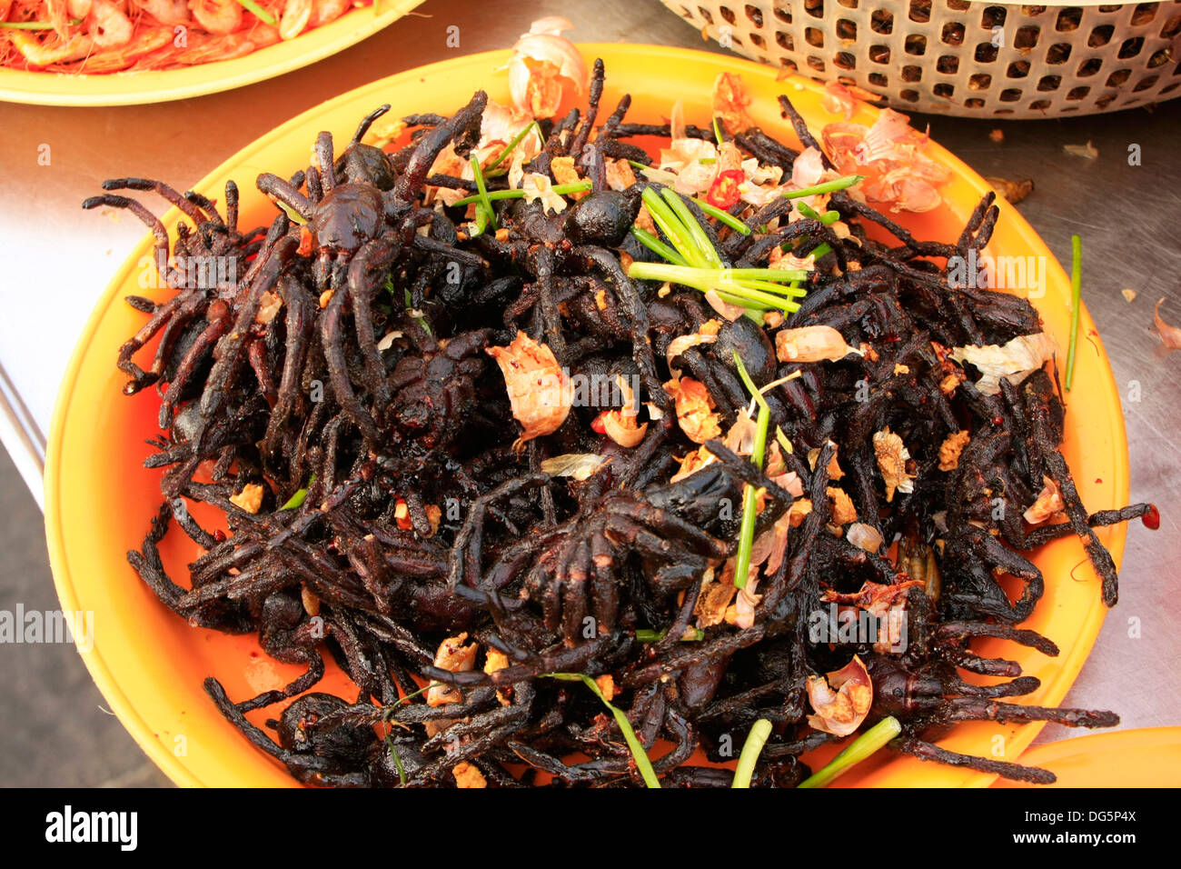 Fried Insects