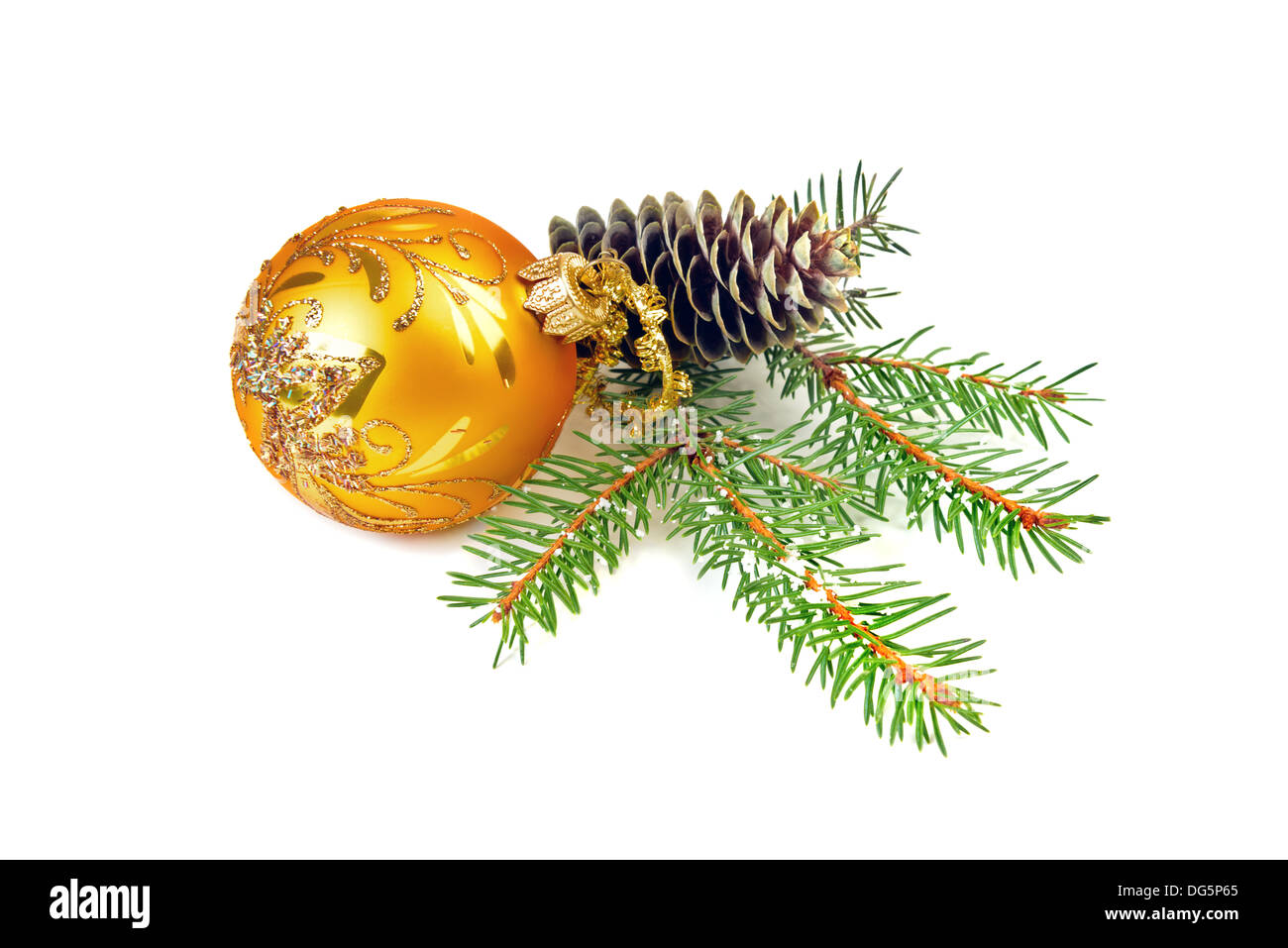 Pine cone tree pine tree hi-res stock photography and images - Alamy