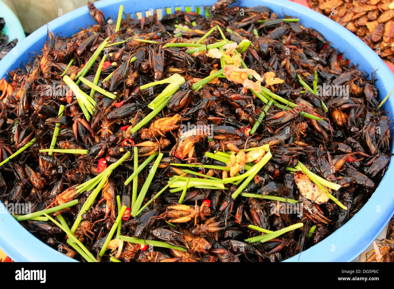 Cambodia insect food street hi-res stock photography and images - Alamy