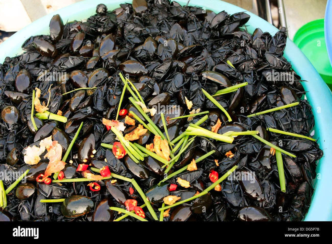 Weird insects hi-res stock photography and images - Alamy