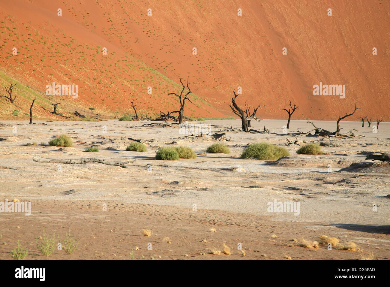 Detail of a pan in Sossusvlei - Namib Desert - Namibia Stock Photo - Alamy