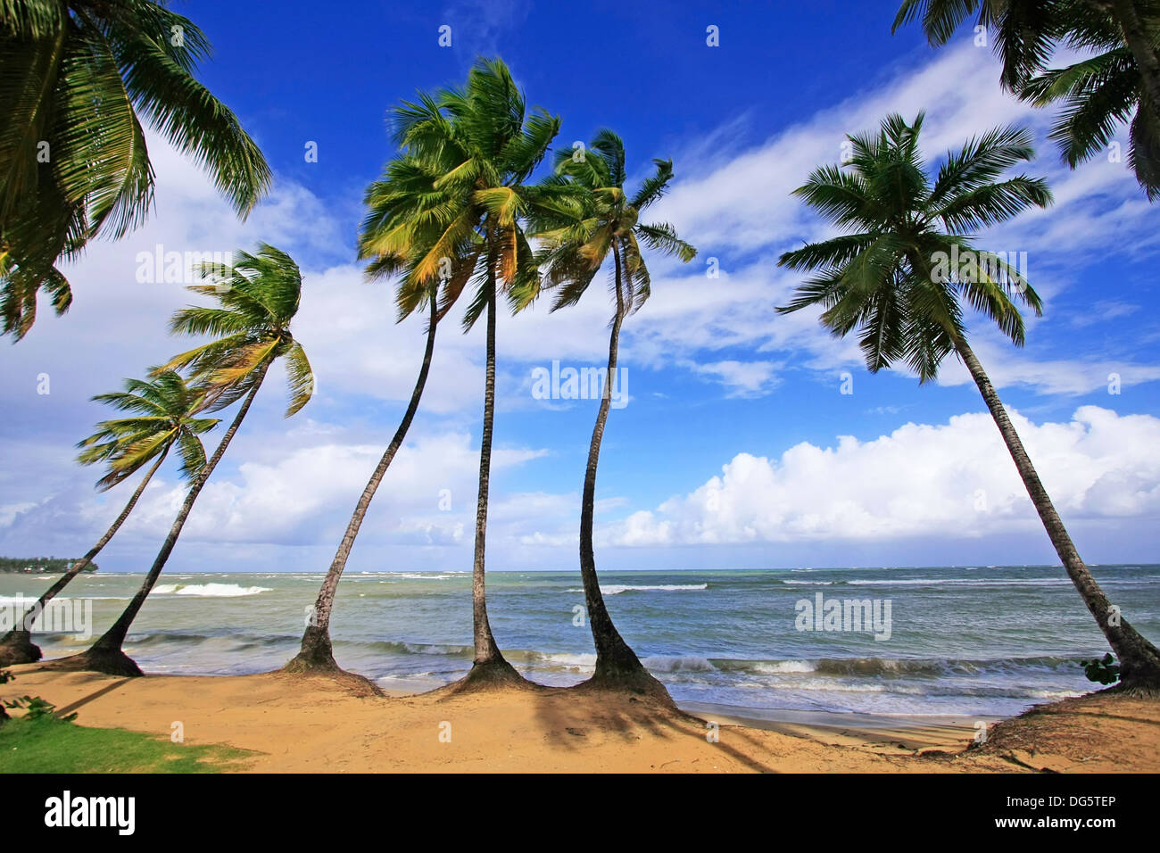 Las Terrenas beach, Samana peninsula, Dominican Republic Stock Photo ...