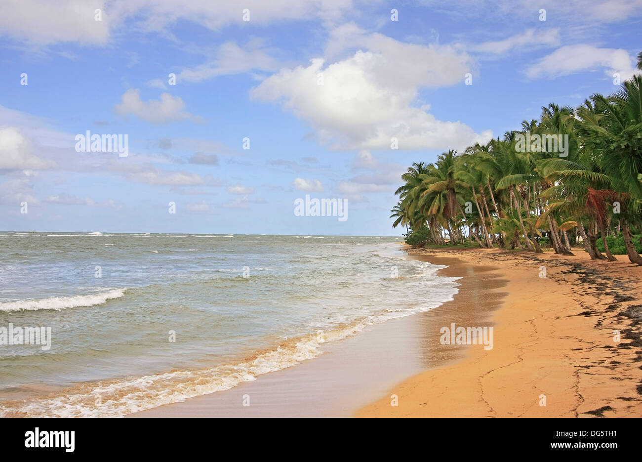 Las Terrenas beach, Samana peninsula, Dominican Republic Stock Photo ...